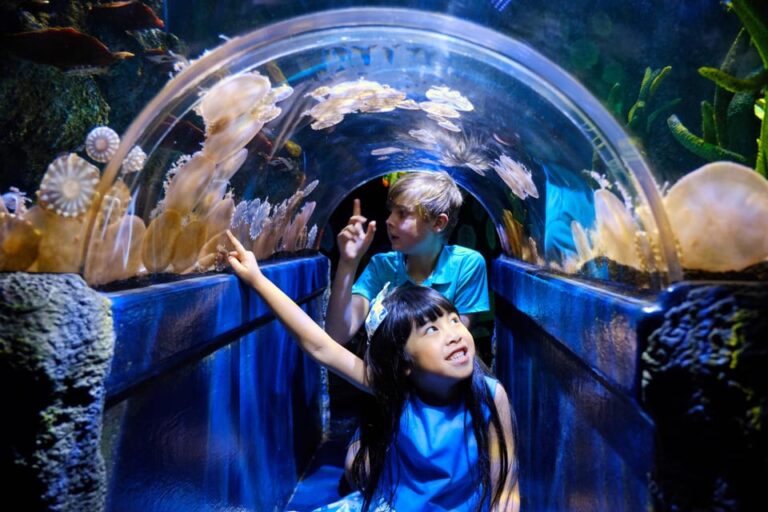 Book SEA LIFE Melbourne Aquarium Entrance Ticket 2026