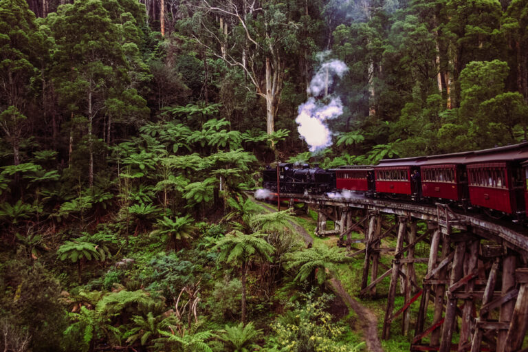 Puffing Billy Tickets Guide: Best Options & Prices in 2026